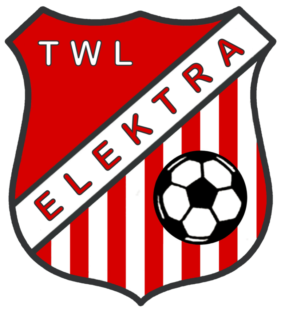 How to implement video analysis in an amateur football club: TWL ...